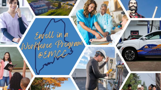 » Workforce and Professional Development